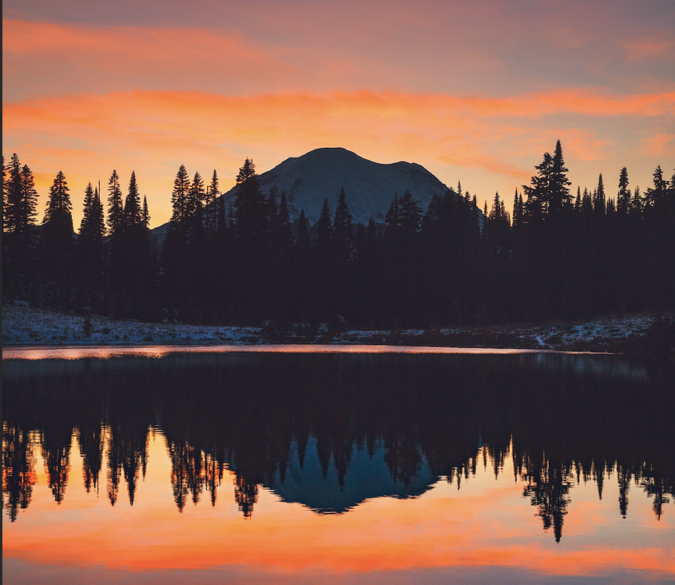 Cory Muscara: Keynote Speaker on Mindfulness, Bestselling Author, & Co ...